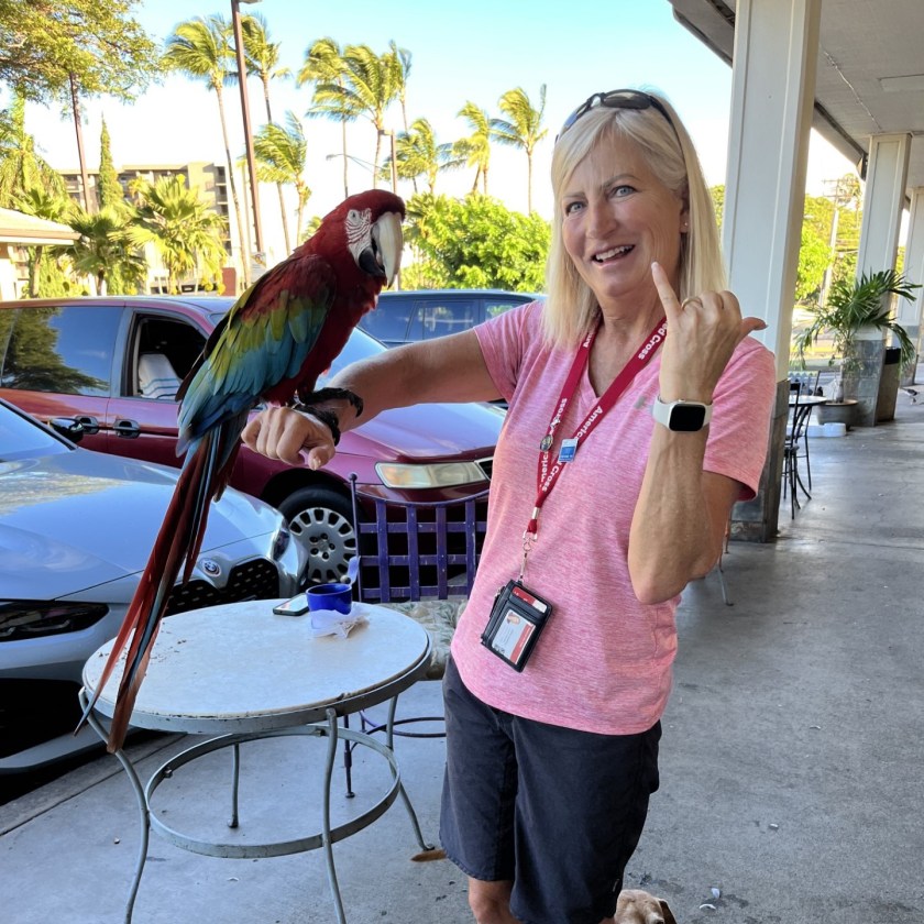 American Red Cross Minnesota and Dakotas Region – Page 2